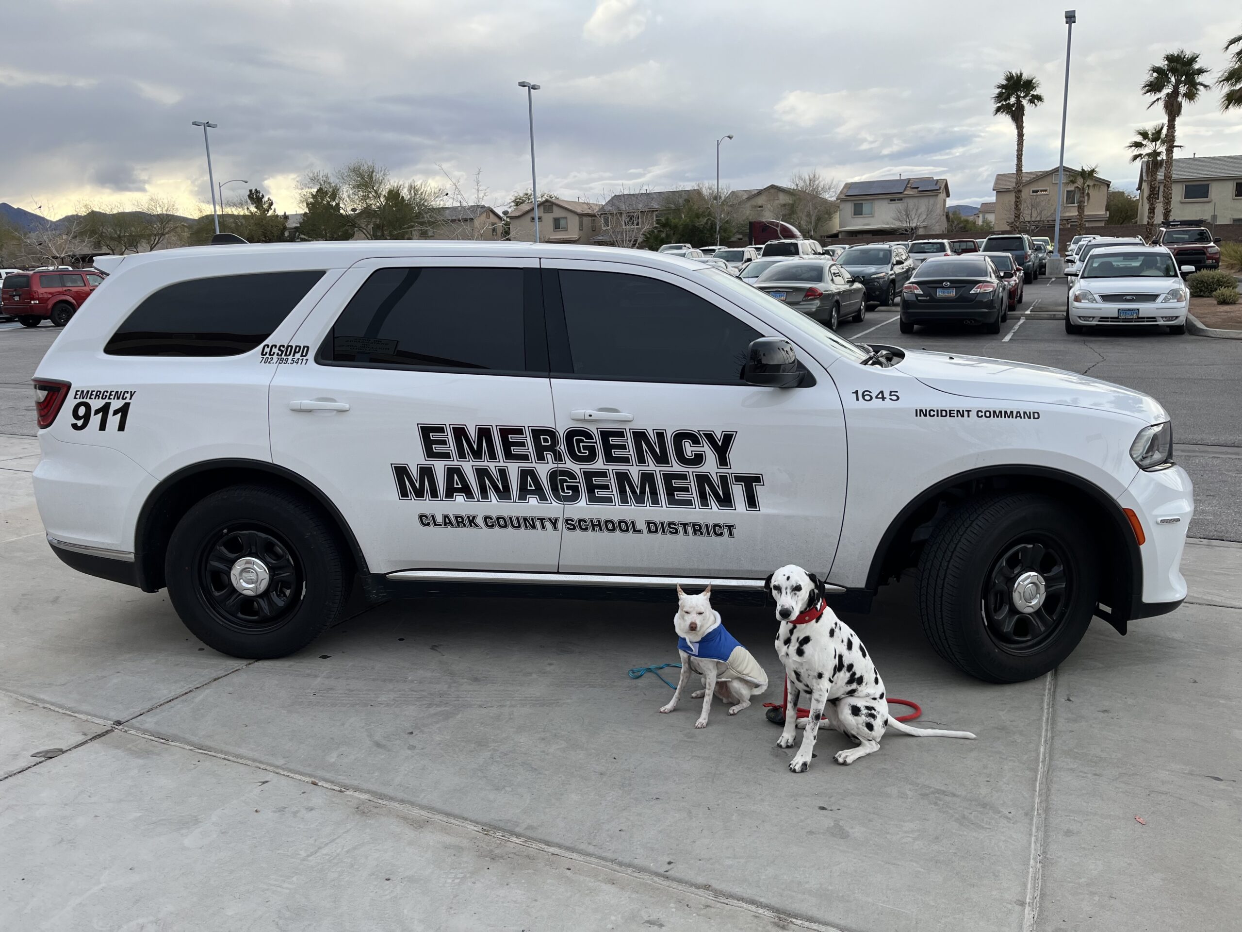 Prevention - School Safety